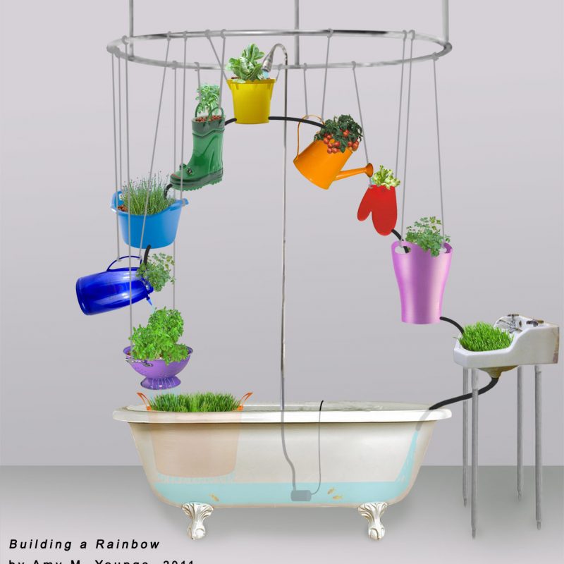 Building a Rainbow – Amy M. Youngs